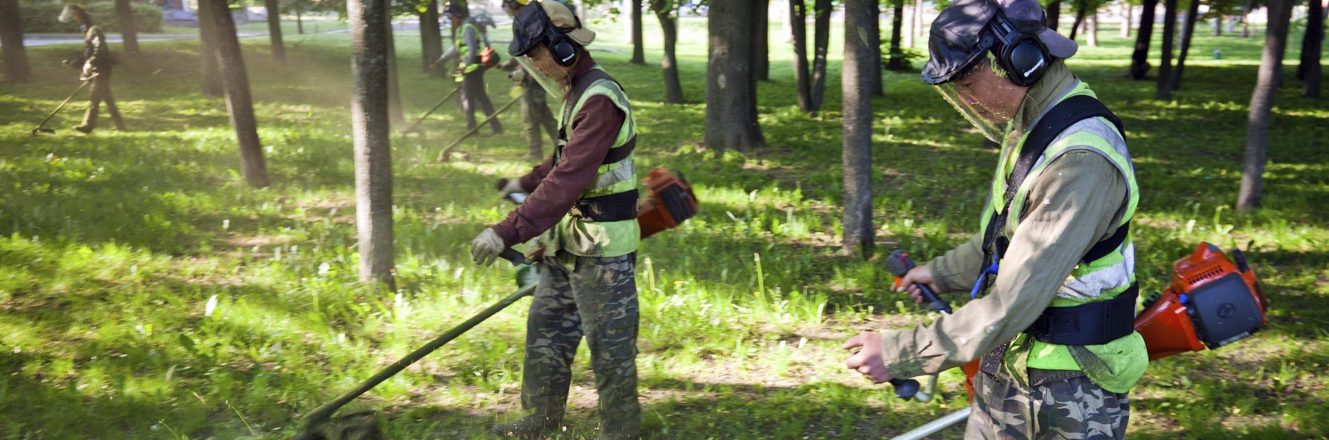 Quality Services International, LLC – Quality is in our name